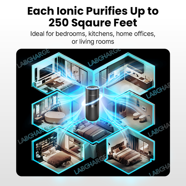 Best Ionic Air Purifier On The Market – Lab Charge LLC