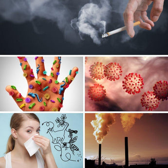 3-pcs Ionic Air Purifiers [Comes With a 2-Year Warranty] – Lab Charge LLC