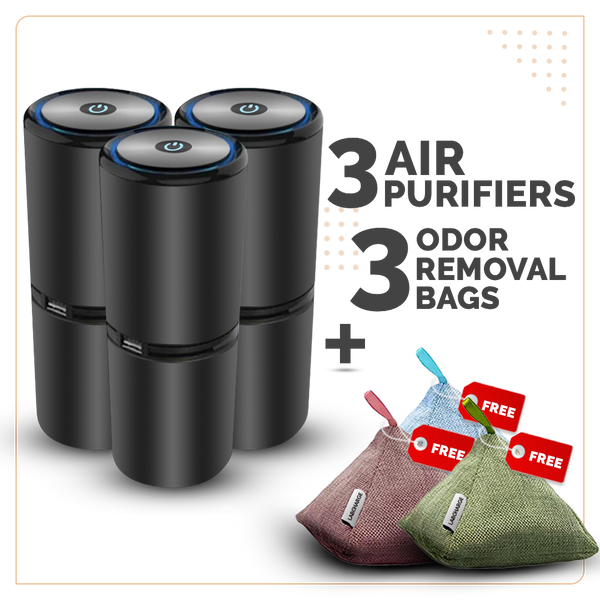 3 Ionic Air Purifiers [Comes With a 2-Year Warranty] - Lab Charge LLC