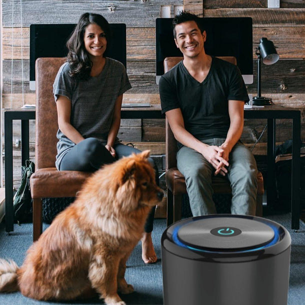3-pcs Ionic Air Purifiers [Comes With a 2-Year Warranty] – Lab Charge LLC